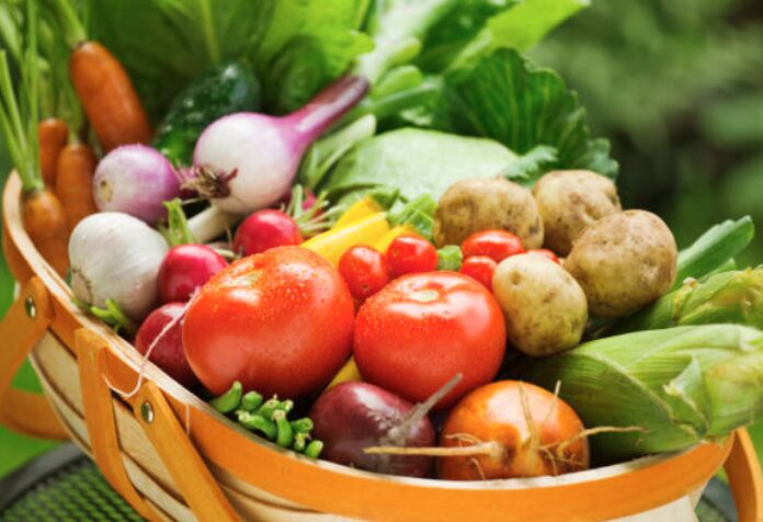 nosh（ナッシュ）とは？特徴・料金・評判から購入まで徹底解説！ - 〜カユイところに手が届く〜